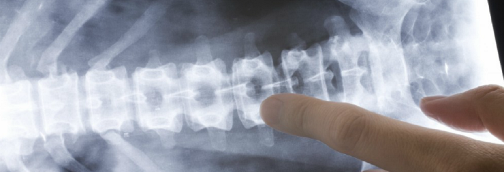 Nathan Cohen – Data Scientist